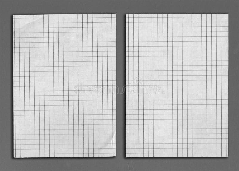 Double feuille photo stock. Image du beige, lignes, isolement - 36272572