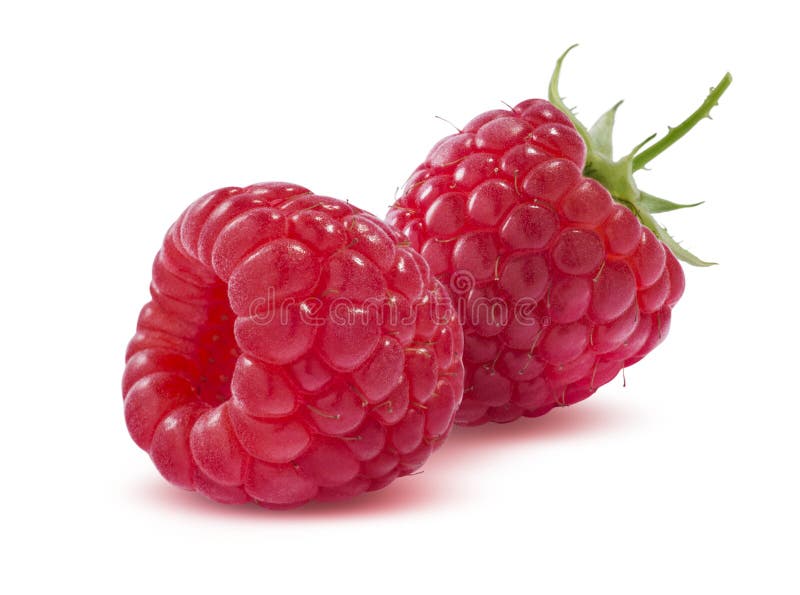 28,303,479 White Background Stock Photos - Free & Royalty-Free Stock ...