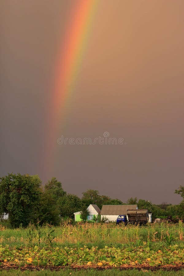 Rainbow over tree stock image. Image of rainbow, weather - 101165707