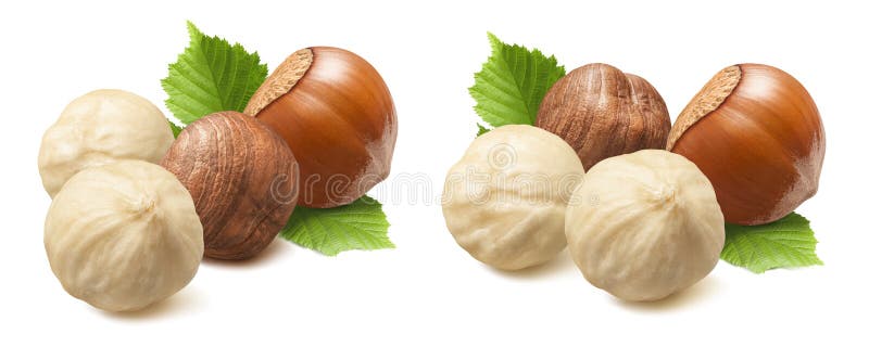 Double Hazelnut Set Isolated on White Background. Whole and Peeled Nuts ...