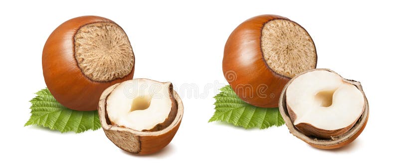 Double Hazelnut Set Isolated on White Backgrounds. Nuts and Green ...