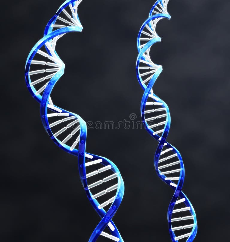 Double Helix Stock Illustrations – 7,921 Double Helix Stock ...