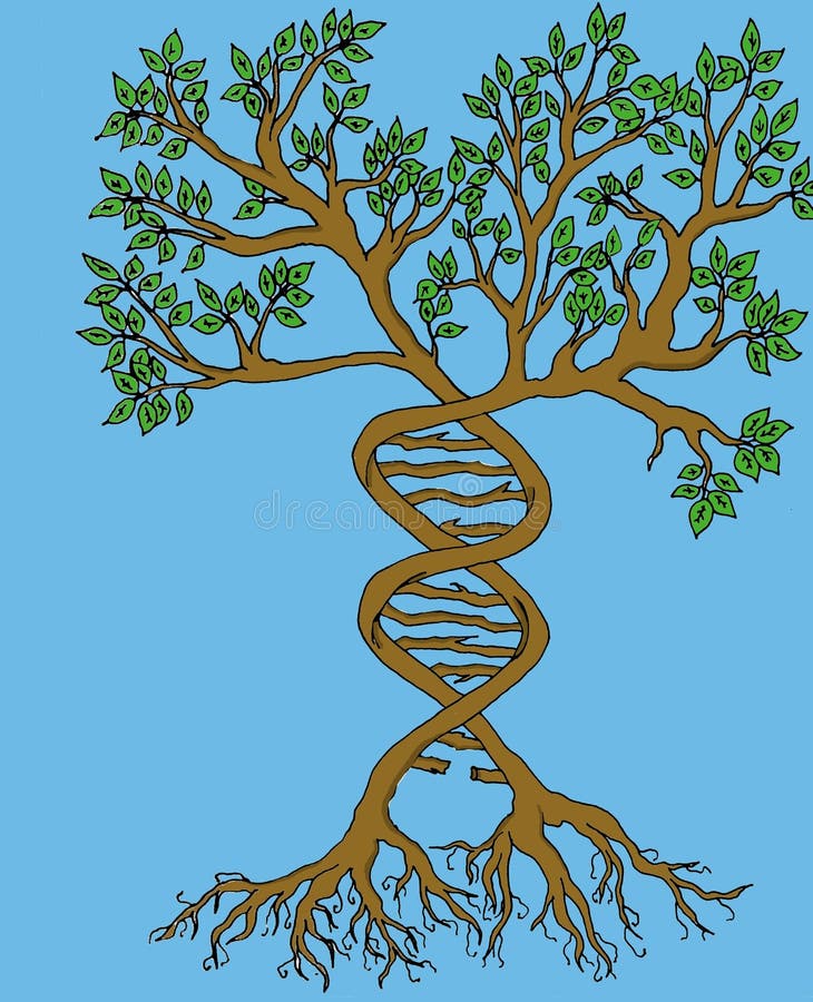 Dna and tree stock illustration. Illustration of spiral - 146523124
