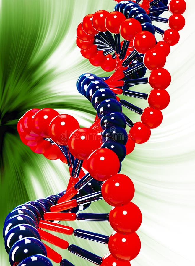 Double Helix - DNA Strands Stock Photography - Image: 28469142