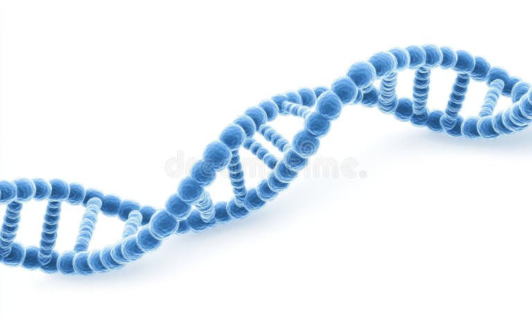 The Double Helix Molecular Structure of Human DNA, Comprising ...