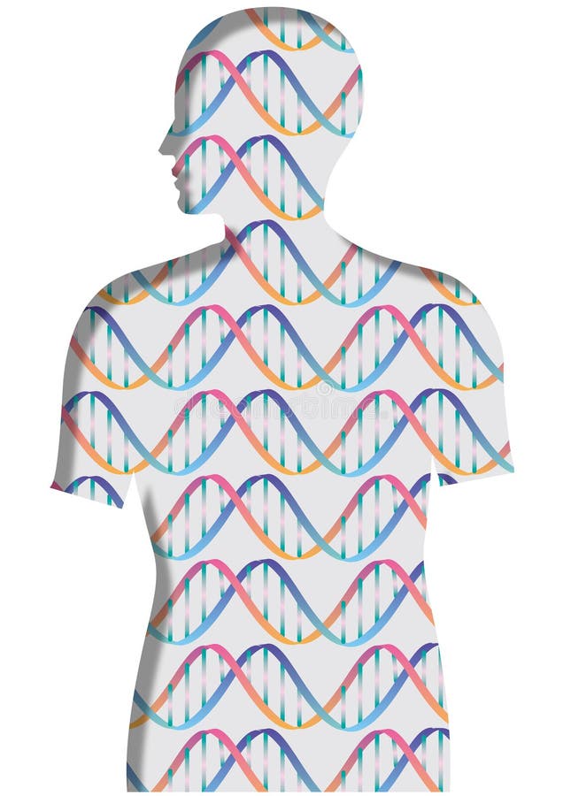 Double Helix Structure Pattern in Human Body Silhouette Stock ...