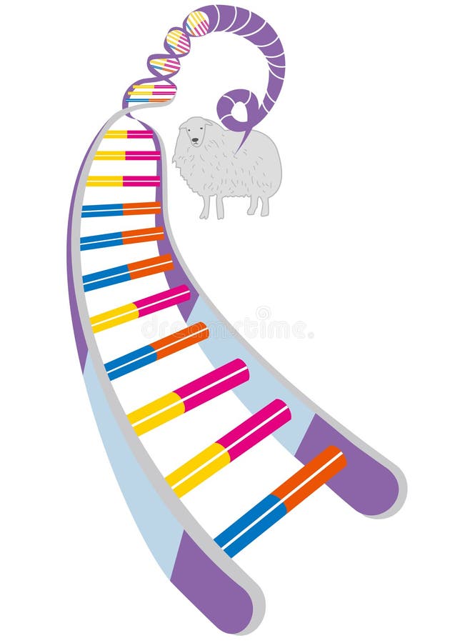 Clone Sheep Stock Illustrations – 114 Clone Sheep Stock Illustrations ...