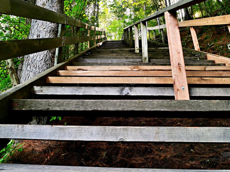 Double Lane Wooden Staircase Up To the Park Stock Photo - Image of ...