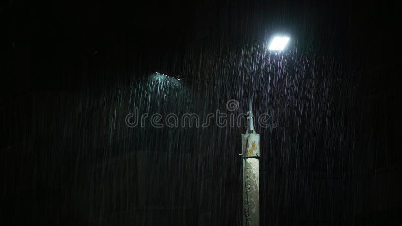 Double Led Panel Lamppost Under Heavy Rain at Night. Midsize View of ...