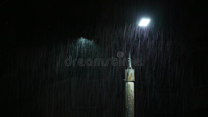 Double Led Panel Lamppost Under Heavy Rain at Night. Midsize View of ...