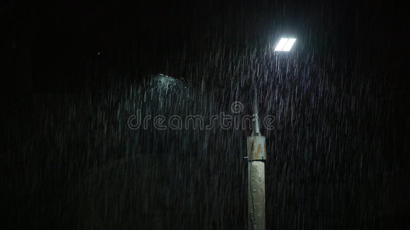 Double Led Panel Lamppost Under Heavy Rain at Night. Midsize View of ...