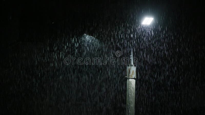 Double Led Panel Lamppost Under Heavy Rain at Night. Midsize View of ...