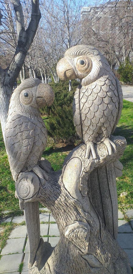 Double parrot stock photo. Image of birds, double, pair - 141884458