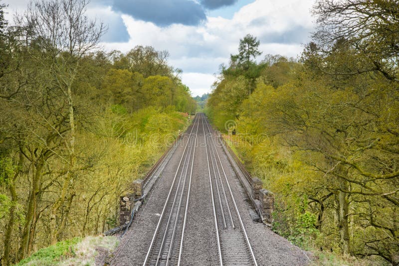 Double Railroad Tracks through a Forest in Springtime Stock Image ...