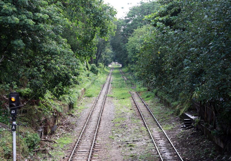 Double Railroad Tracks Parallel between the Nature of the Tree. Stock ...