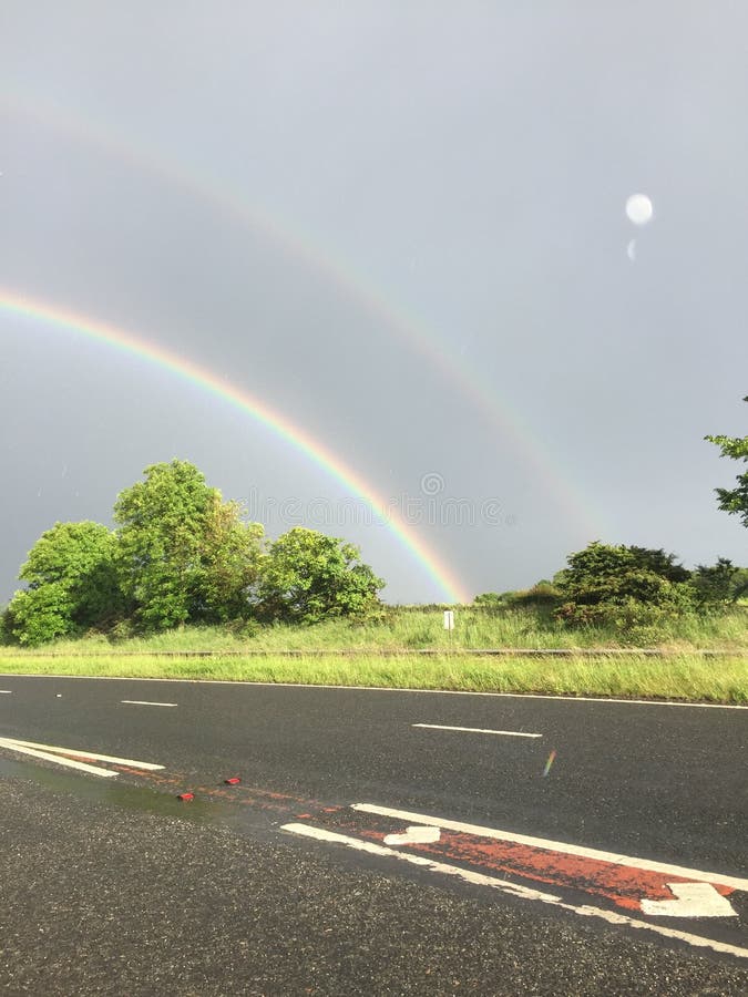 Trees Arching Over Road With Converging Lines At The Horizon Of A Long ...