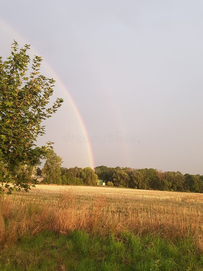 Double Rainbow stock photo. Image of morning, field - 158940876