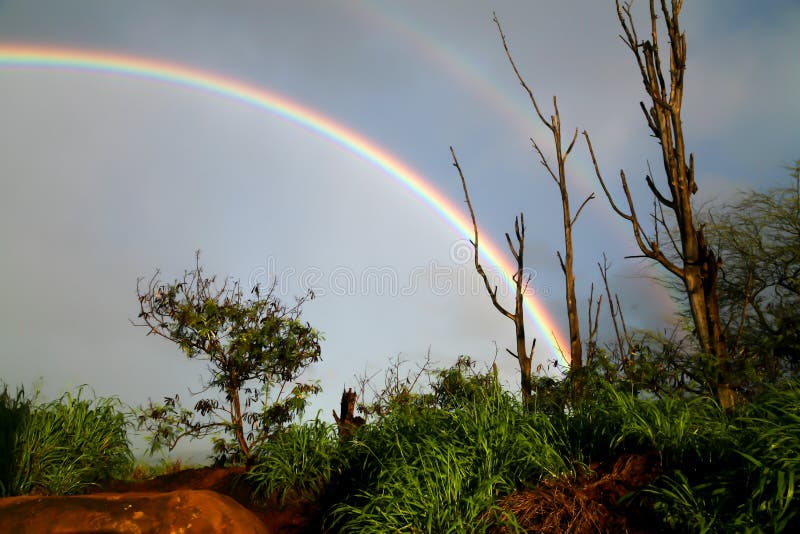 Double Rainbow stock photo. Image of double, deep, tourism - 52211168