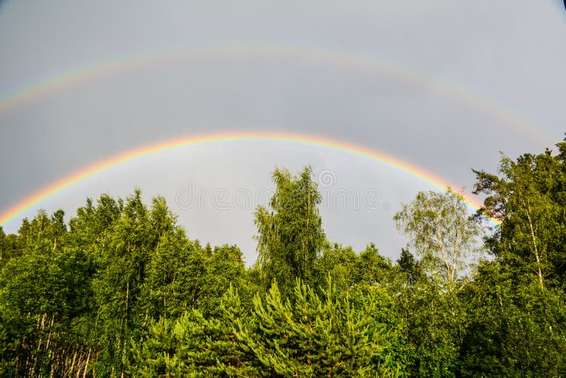 Double Rainbow Over Green Forest Stock Photo - Image of multicolored ...