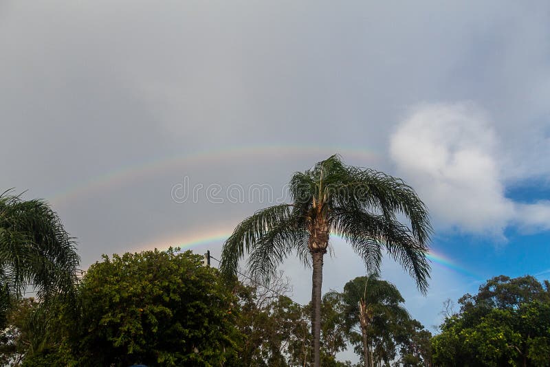 Double Rainbow Over Palm Trees Stock Photo - Image of plant, produce ...