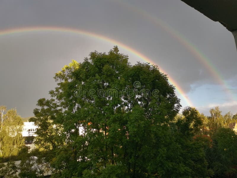 Double Rainbow over tree stock photo. Image of forest - 202339036