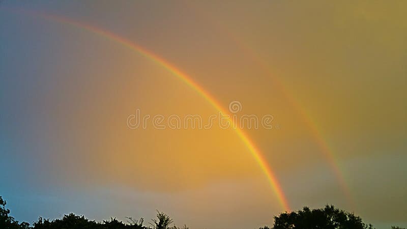 Double Rainbow Over Trees at Sunset Stock Photo - Image of rainbow ...