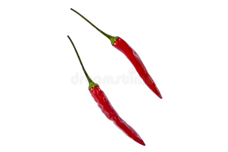 Double big chili stock image. Image of decorate, dinner - 33944293