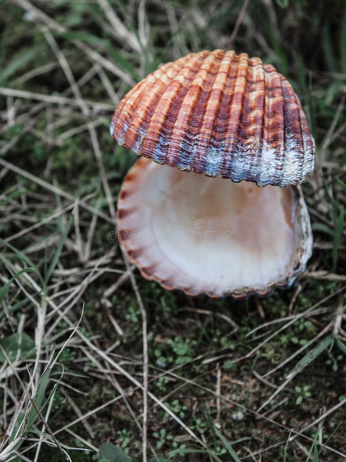 183 Aquaculture Simple Stock Photos - Free & Royalty-Free Stock Photos ...