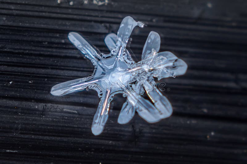 Double Snowflake stock photo. Image of ornament, celebration - 47446542