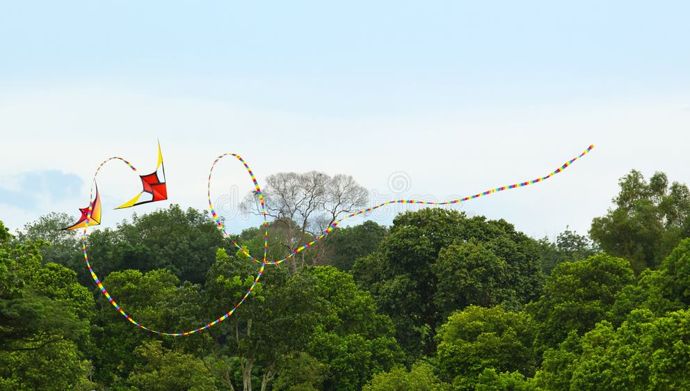 Double Stunt Kite with Long Tail Performing Tricks Stock Photo - Image ...