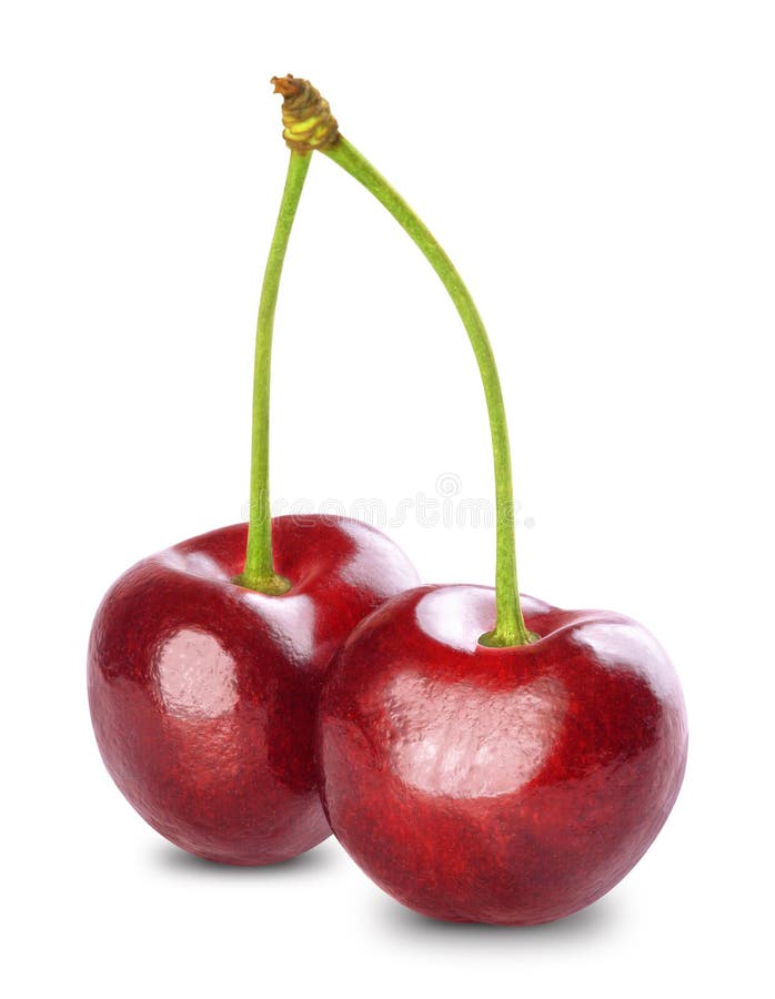 266 Double Cherry Isolated White Background Stock Photos - Free ...
