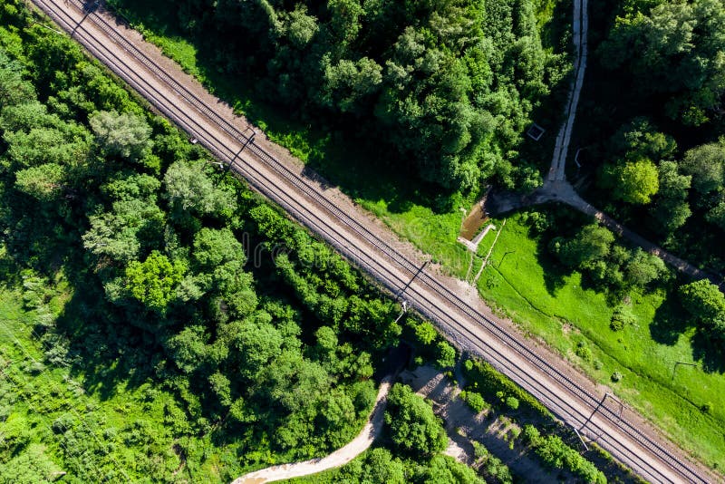 Double-track Railway in a Forest Area Stock Photo - Image of outdoor ...