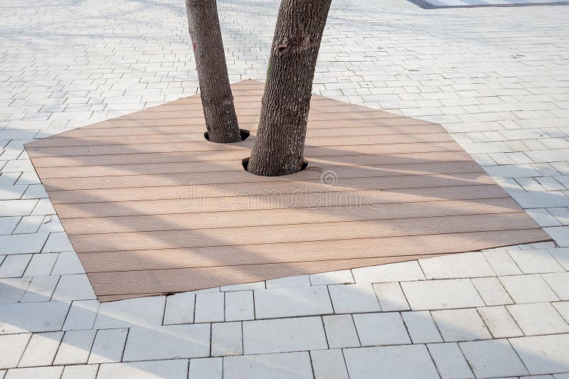Double Tree Trunks Growing through Hexagonal WPC Panel Inset in Tiled ...