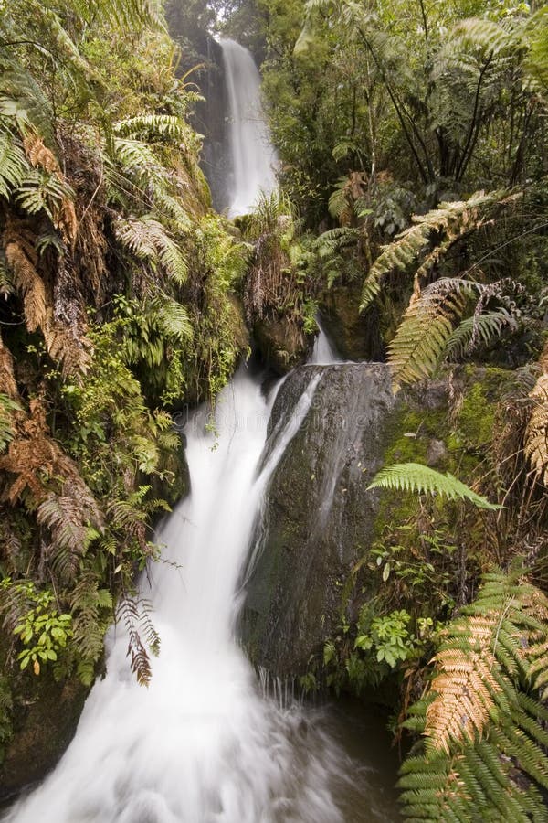 Double Waterfall stock image. Image of waterfall, hiking - 11339149