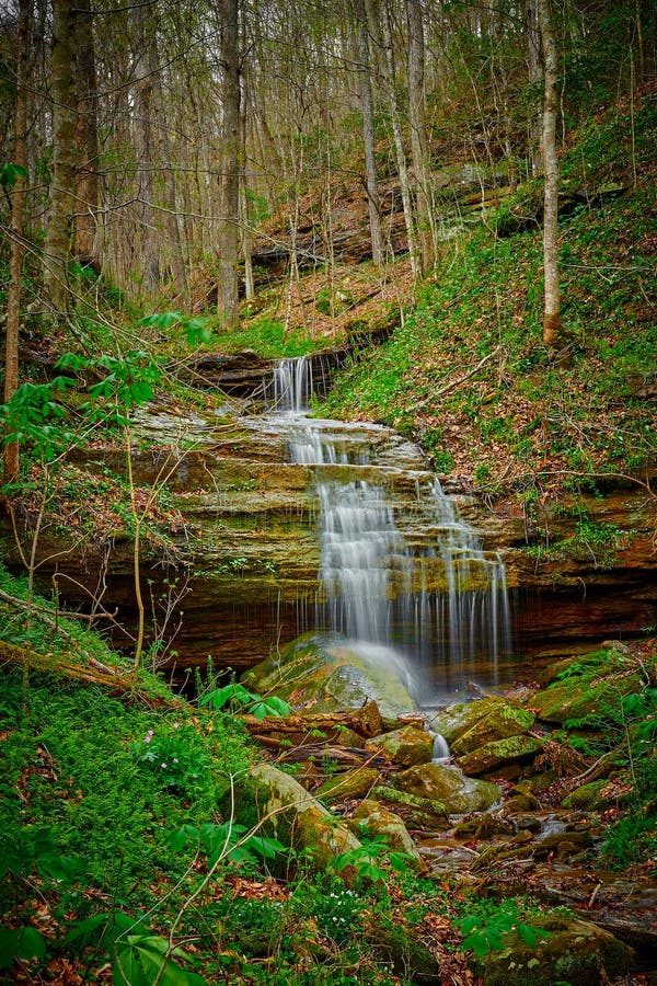 Double Waterfall in Early Spring Stock Image - Image of national ...