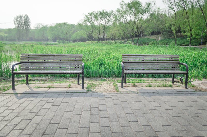 Double Wooden benches stock photo. Image of harmony - 114672310