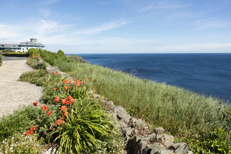 Gorse on a Cliff Douglas Isle of Man Stock Photo - Image of onchan ...