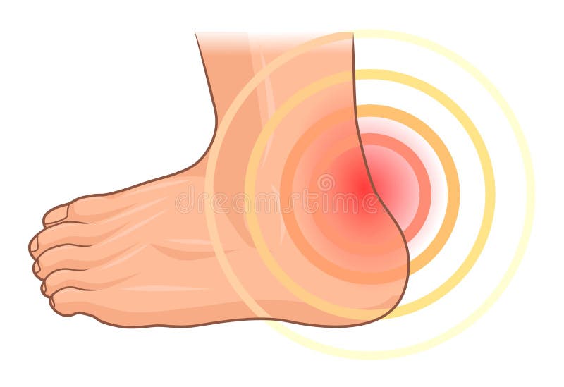 Talon Stock Illustrations, Vecteurs, & Clipart – (39,461 Stock ...