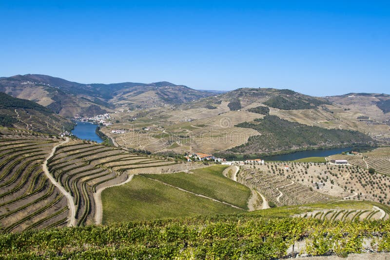 Douro region stock image. Image of destinations, travel - 21391965