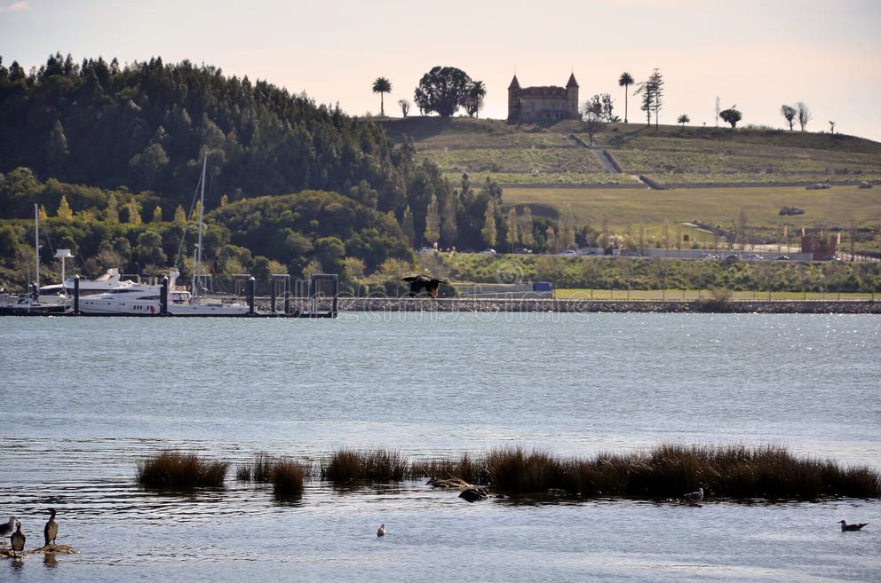 Douro river at sunset stock photo. Image of river, castle - 124442764