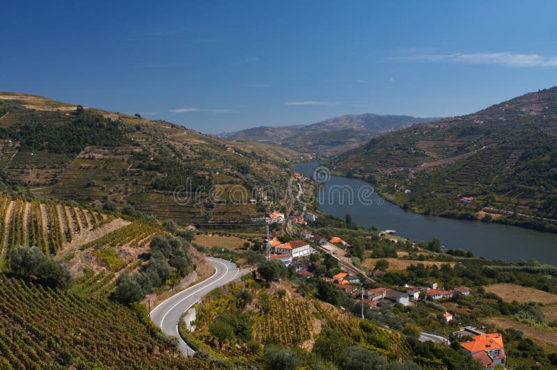 Douro river view stock photo. Image of investment, harvesting - 3268584