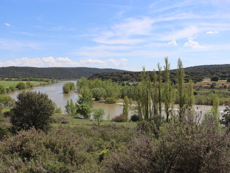 Douro River Water Life Natural Navigation Current Fish Stock Photo ...