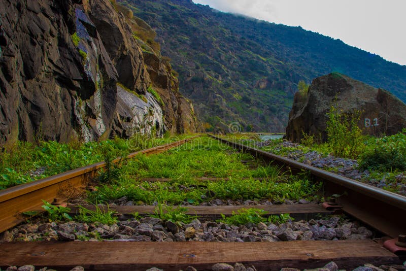 Douro train line stock photo. Image of forest, nature - 135937266