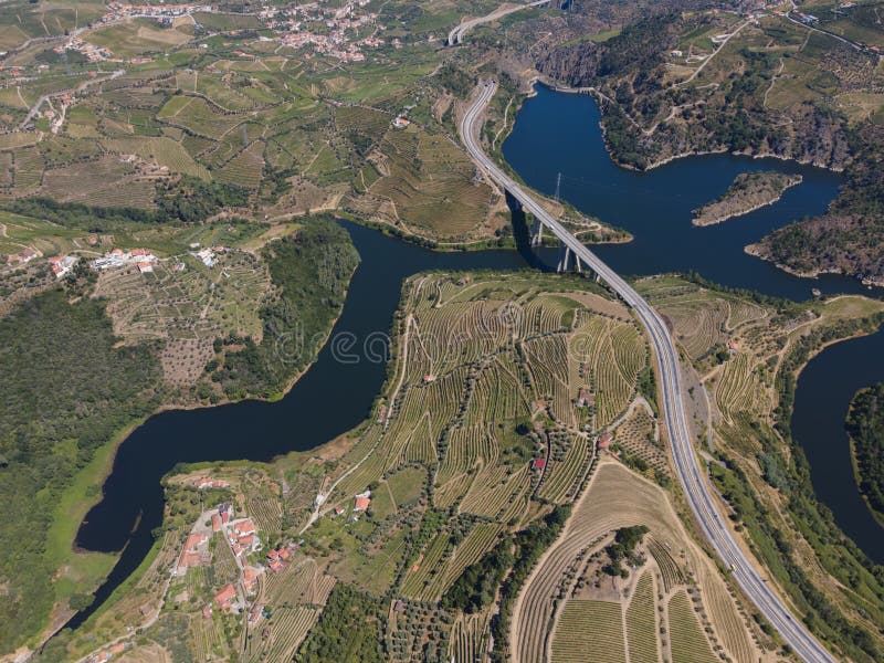 Douro Valley stock image. Image of crop, international - 34595621