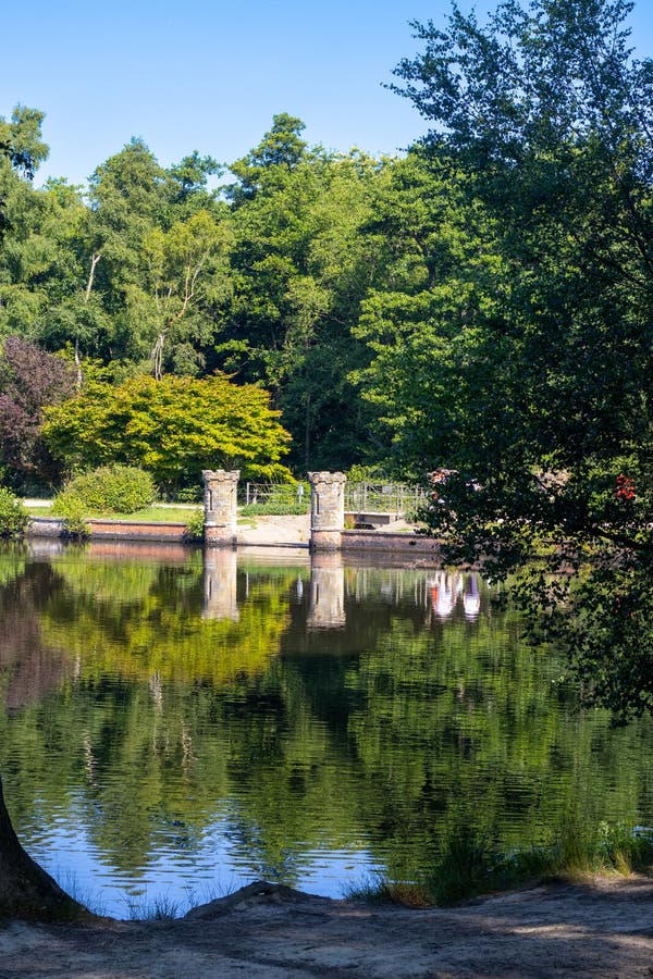 Douster Pond in Buchan Country Park Stock Image - Image of outdoors ...