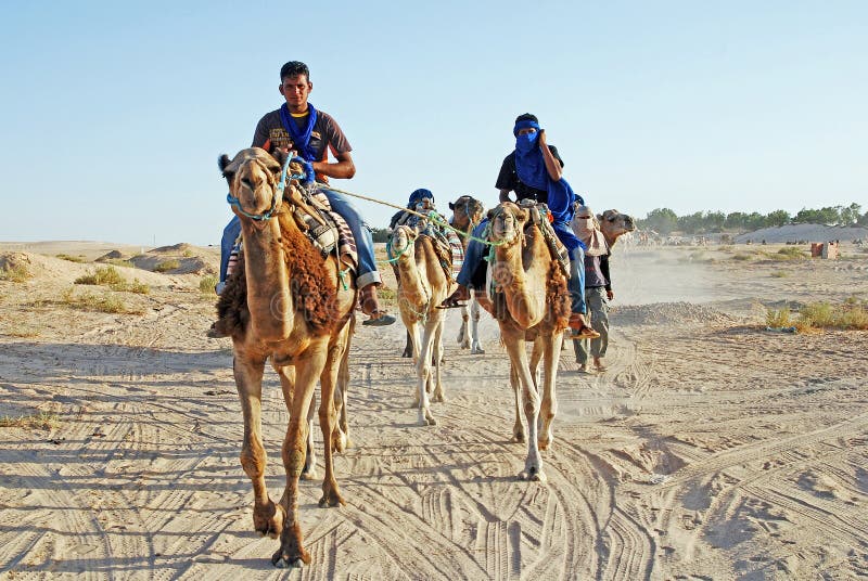Camel Train, Sahara Desert, Douz, Kebili Governorate, Tunisia Editorial ...