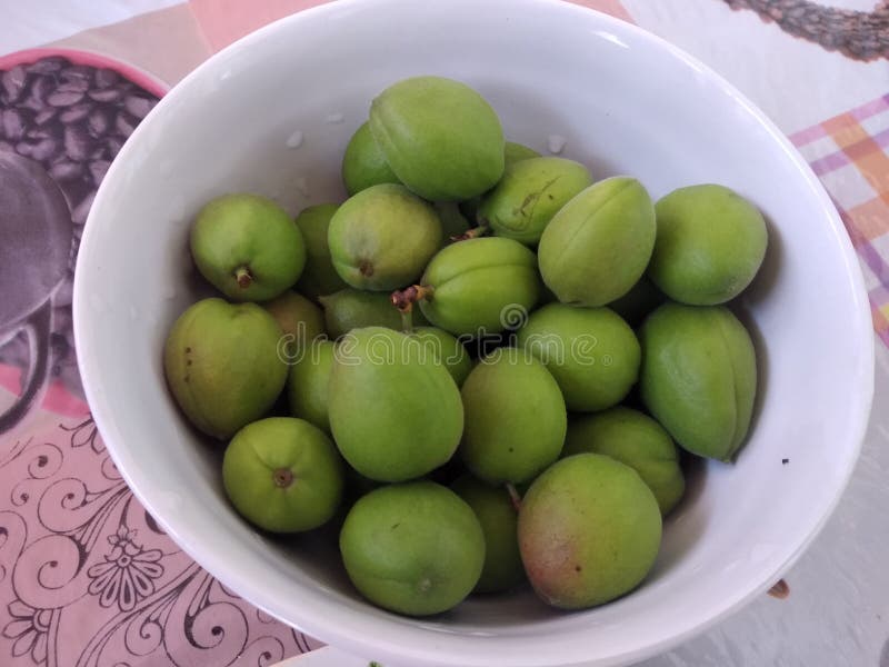 Dovcha stock photo. Image of fruit, berry, food, breakfast - 190317050