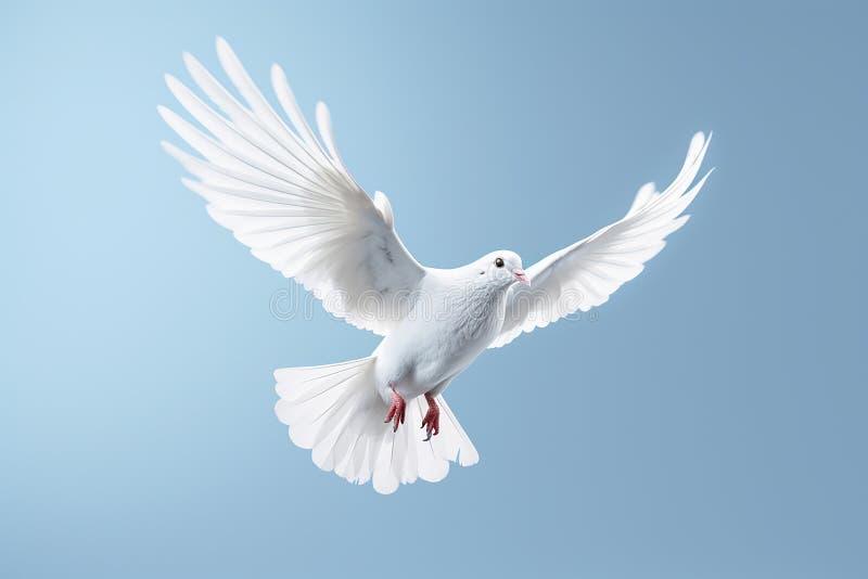 Dove in Air with Wings Wide Open in-front of Sun Stock Illustration ...