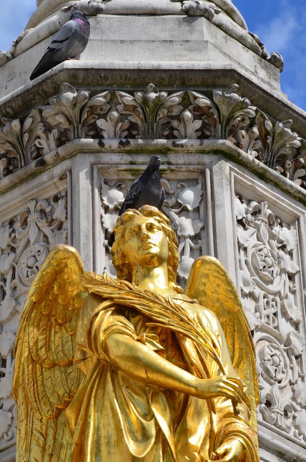 Dove on the angel s head stock image. Image of dove, golden - 72291959