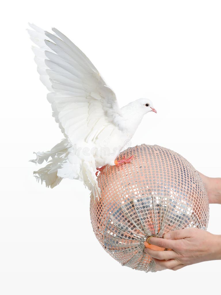 5,954 Dove Hand Stock Photos - Free & Royalty-Free Stock Photos from ...